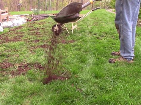 Top Dress Your Lawn With Compost For Big Soil Improvements GrowIt BuildIT