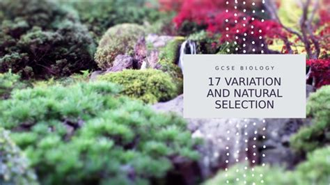 Variation And Selection Gcse Full Unit Teaching Resources