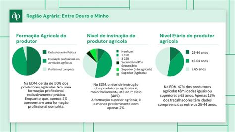 Dashboard Simples