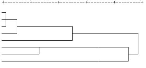 Phenogram Using Nearest Neighbour Method Euclidian Distance