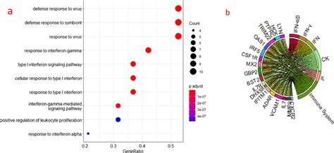 A Go Analysis Of The Highest Scoring Gene Clusters Using The R Language Download Scientific