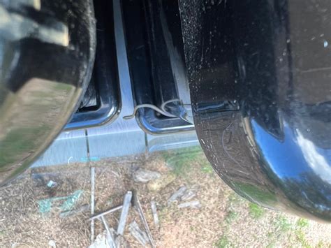 2 Common Tree Snakes Dendrelaphis Punctulata Harmless Non Venomous