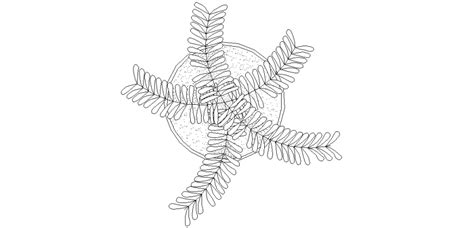 Tree Plant View Of The Plan With Tree Block Dwg File
