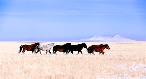 Цахим Сүхбаатар аймаг Facebook