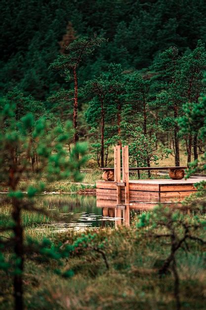 Premium Photo Wooden Structure Amidst Trees And Building