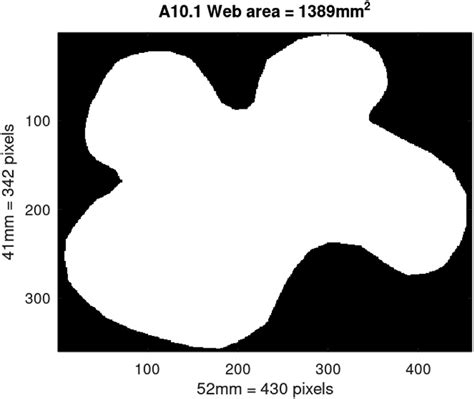 Final Image Of Web A101 Prepared In Gnu Octave 710 With The Web Download Scientific Diagram