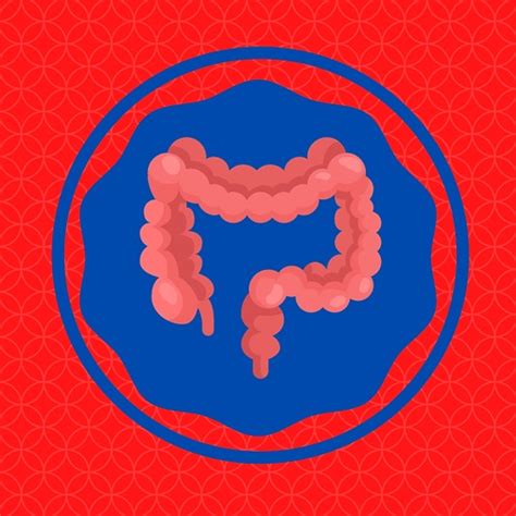 Pocket Appendicitis Score By Putu Angga Risky Raharja
