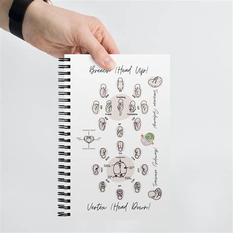 Fetal Positioning Chart Notepad A Must Have For Birth Enthusiasts T For Doulas And Midwives