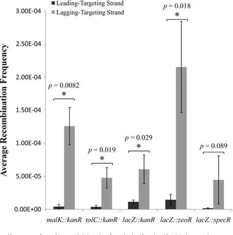 Figure 3 From Lambda Red Recombineering In Escherichia Coli Occurs