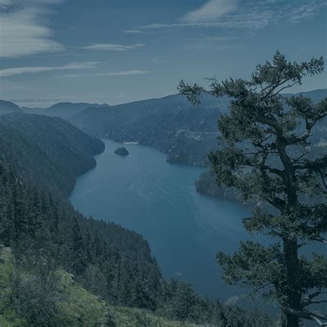 Field And Laboratory Protocols Biologica