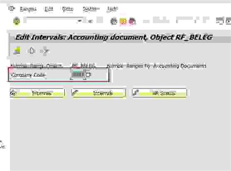 Define Number Ranges For Customer Account Group