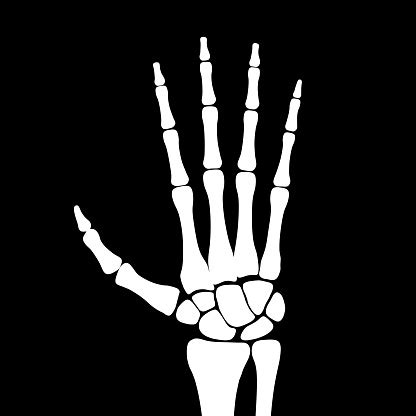 The Skeletal Hand In Black Background Illustration Stock Illustration