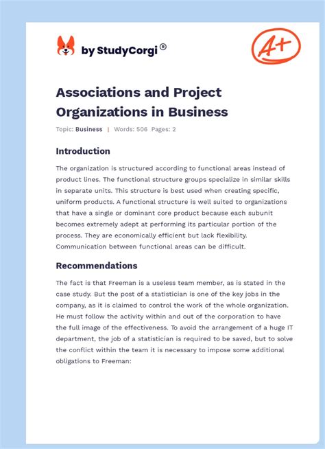 Associations And Project Organizations In Business Free Essay Example