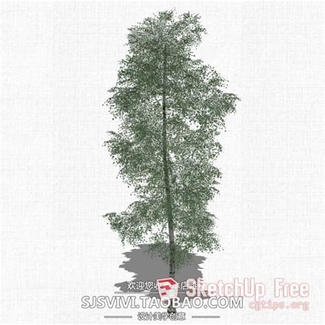 638 Tree Sketchup Model Free Download