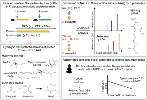 Institute For Systems Biology Isb On Linkedin A Gut Microbial Enzyme That Impacts Host