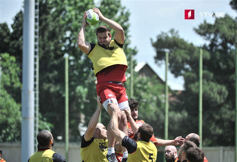 ბორჯღალოსნები ივნისის ტესტებისთვის ემზადებიან ფოტო 1tv