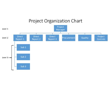 Project Organization Chart Template Project Organization Chart