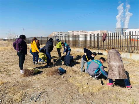 🌲 “Тэрбум мод” үндэсний Баянгол цэцэрлэгт хүрээлэн