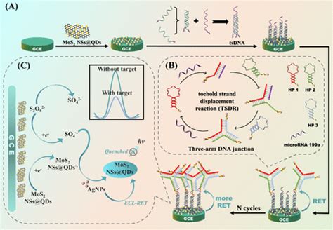 Smart Target Initiated Catalytic Dna Junction Circuit Amplification