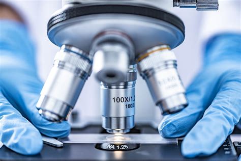 Best Master S In Bioinformatics Scholarships