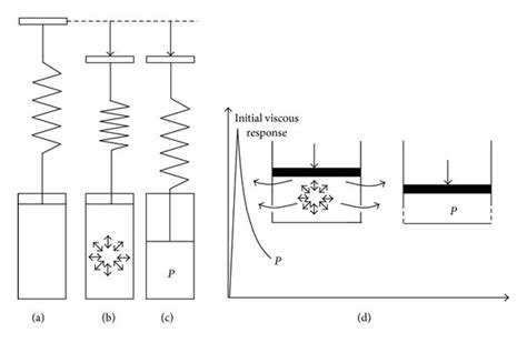 The Initial Stress Relaxation Response Or Viscous Response Is