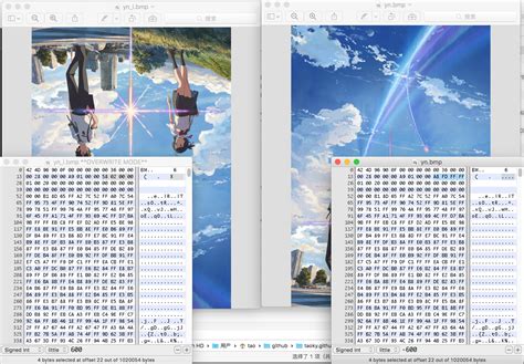 使用 C 读取简单的 24、32 位 Bmp 图像