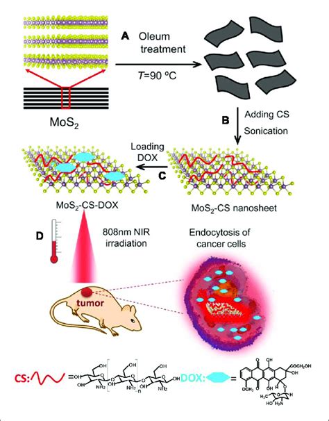 Schematic Illustration Of Mos 2 Cs Nanosheets As A Nir Photothermal