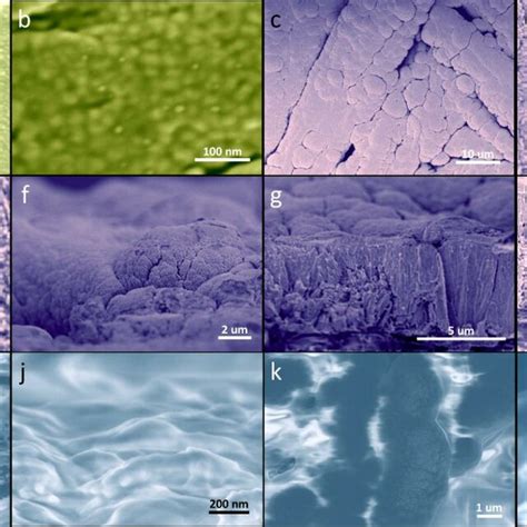 Morphology And Microstructure Of The Multilayer Auznopmma System On Download Scientific