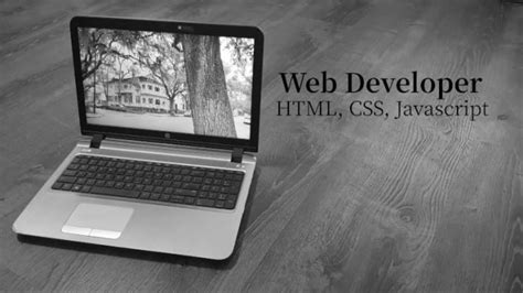 Write Or Fix Html Css And Javascript By Adamfranks364 Fiverr
