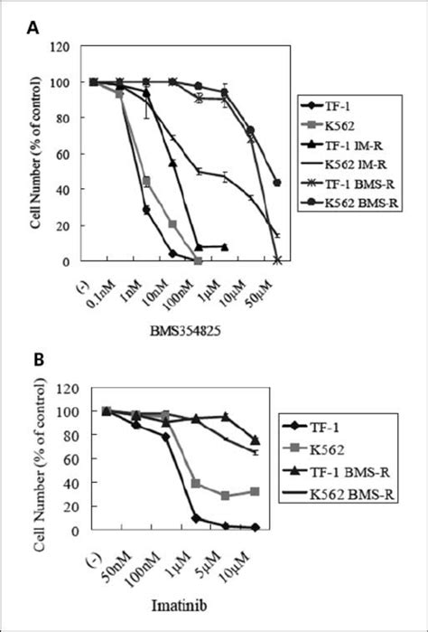 Proliferation Of Dasatinib And Imatinib Sensitive And Download
