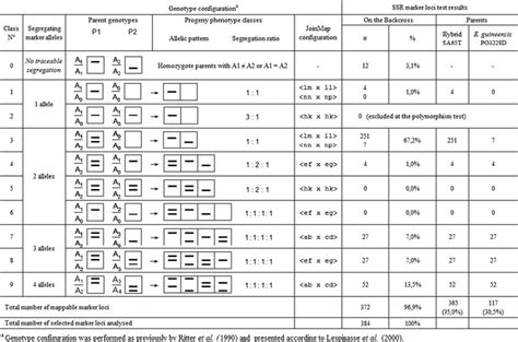 Genotype Configuration And Distribution Of Segregating Marker Loci In Download Scientific