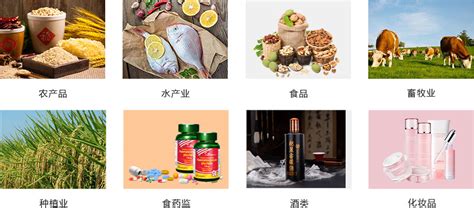 溯源系统二维码溯源茶叶种子溯源肉类蔬菜溯源系统食品安全追溯可追溯系统 广州天码防伪科技有限公司