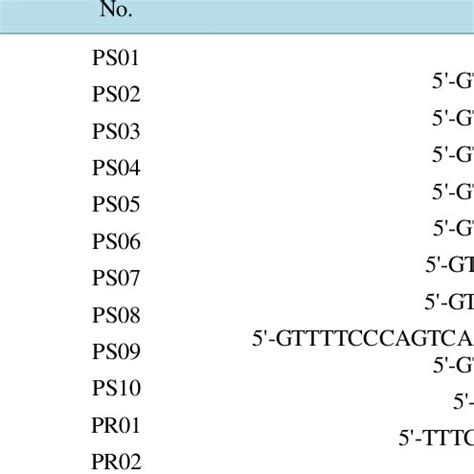 The Number And Sequence Of Primers Download Table