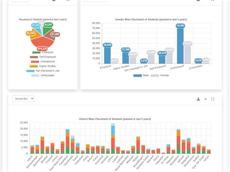 A Web Portal And Graphic Dashboard Upwork