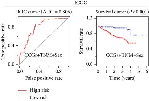 Prediction Models To Predict The Survival Of Hcc Patients A B Roc Download Scientific
