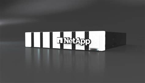 Netapp Storage And Backup