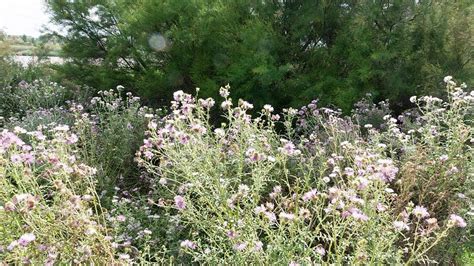 City Limits Background Images Hd Pictures And Wallpaper For Free