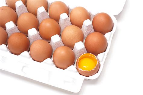 유토이미지 계란 달걀