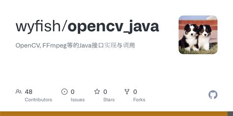 GitHub wyfish opencv java OpenCV FFmpeg等的Java接口实现与调用