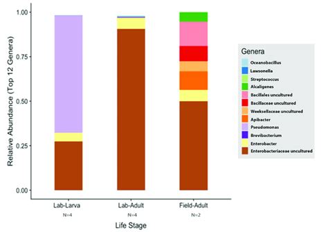 Beta Diversity Between Laboratory Reared T Stercorea Larva And Adult Download Scientific