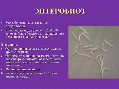 Энтеробиоз у грудничка: симптомы и лечение