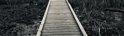 Steff Higgins Bookshop