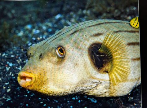 Penny And Spike Piddock St Austell Camera Club