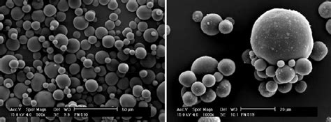 SEM micrographs of the LDPE D particles left in scale of 50 μ m and Download Scientific