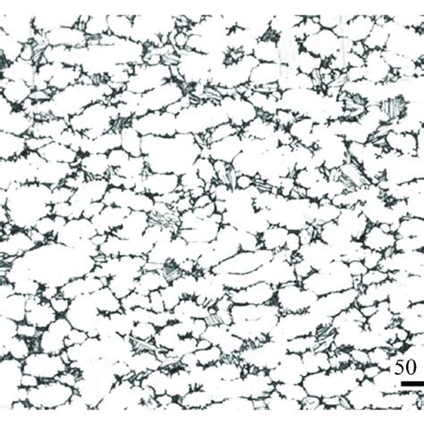 Microstructure Of The As Received Material Download Scientific Diagram
