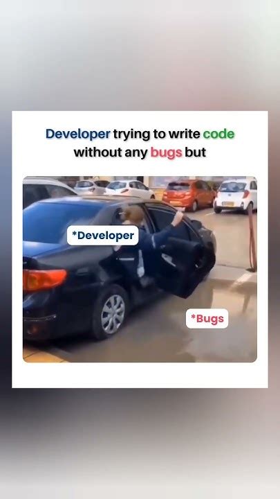 developers relationship with bugs 🤣😂 memes programming funny