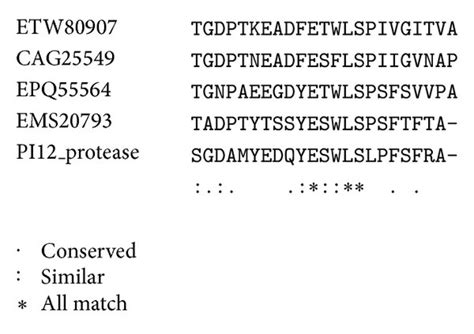 Multiple Sequence Alignment Between Amino Acid Sequence Of Pi12