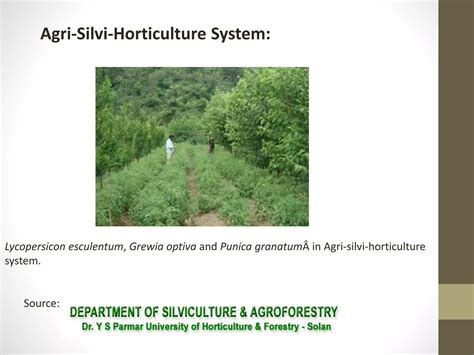 Modern Agroforestry Systems Pptx