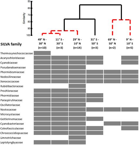 Global Distribution And Diversity Of Marine Euendolithic Cyanobacteria