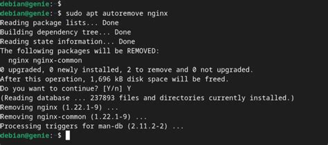 How To Install Nginx On Debian Linux Genie